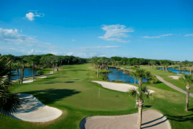 The Seabrook Island Club - Everything You Need to Know | Pam Harrington ...