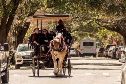 A Local's Guide to the Best Charleston, SC Carriage Rides & Tours