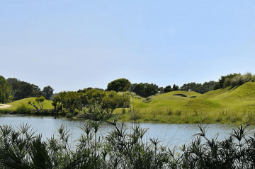 Cassique Real Estate | Kiawah Island | Pam Harrington Exclusives