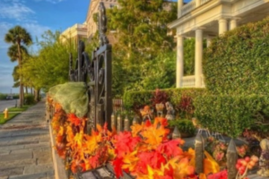 Visiting Charleston, SC in the Fall - What to Consider
