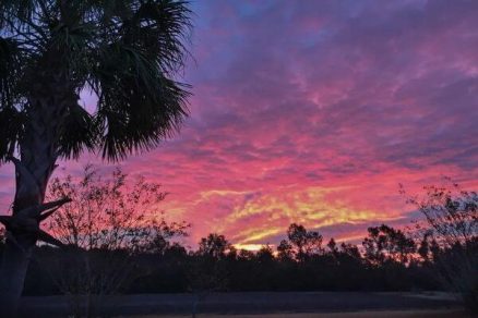 Johns Island, SC - What You Need to Know | Pam Harrington Exclusives