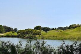 Cassique | A Kiawah Island Club Community - Pam Harrington