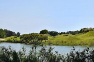 Cassique | A Kiawah Island Club Community - Pam Harrington