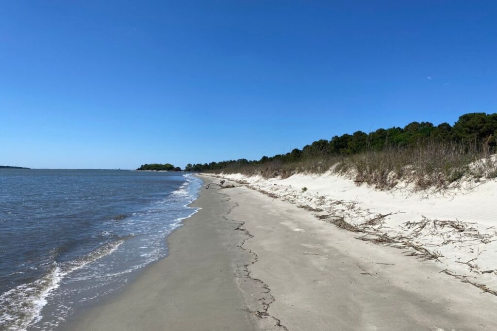 Seabrook Island Beaches | Seabrook Island, SC - Pam Harrington